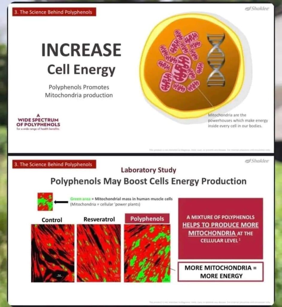 Badan Asyik Lesu? Ketahui Bagaimana Vivix Mengubah Tenaga Anda – VIVIX ...